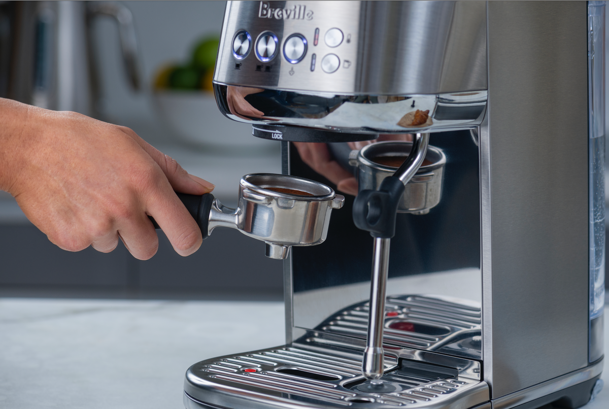 Breville - The Bambino® Plus – Buddy Brew Coffee
