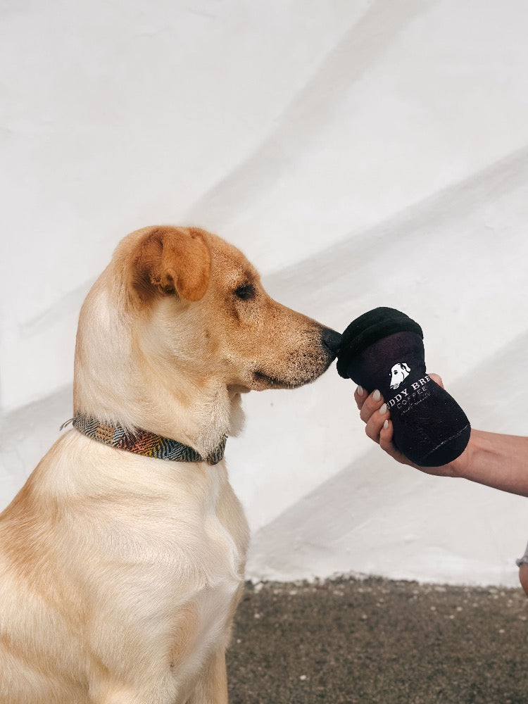 BB Coffee Cup Dog Toy – Buddy Brew Coffee