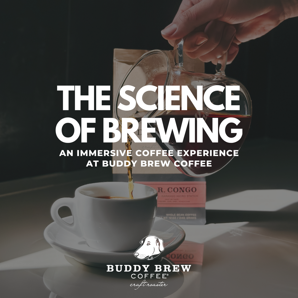 The Science of Brewing: Specialty Coffee Class – Buddy Brew Coffee