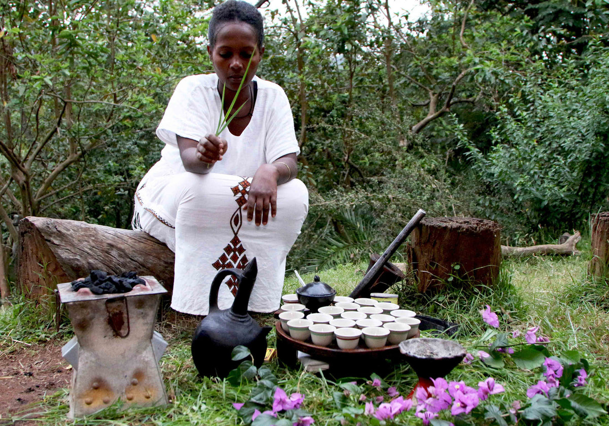 Ethiopia, Sidama Guji Gr 1 Washed – Buddy Brew Coffee